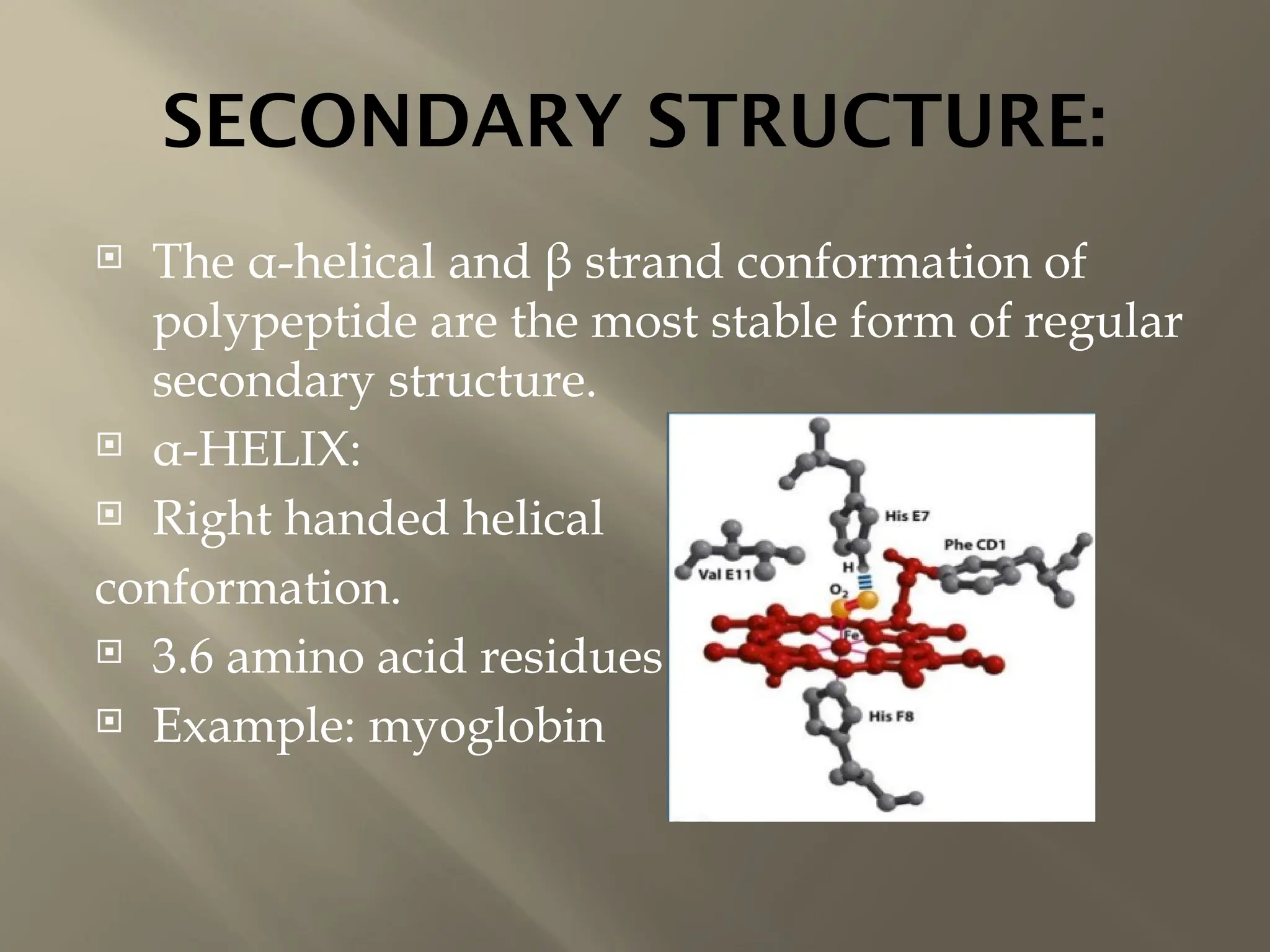 protein and its main types i.e primary secondary and tertiary | PPTX