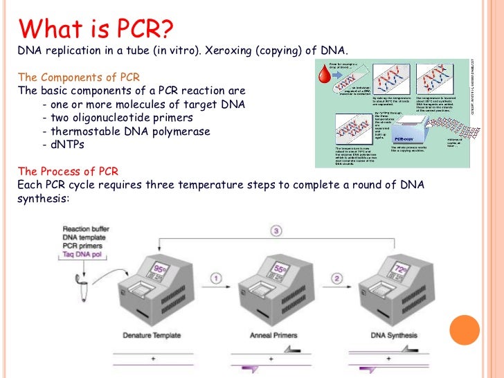 Molecular detection of food borne pathogens-presentation