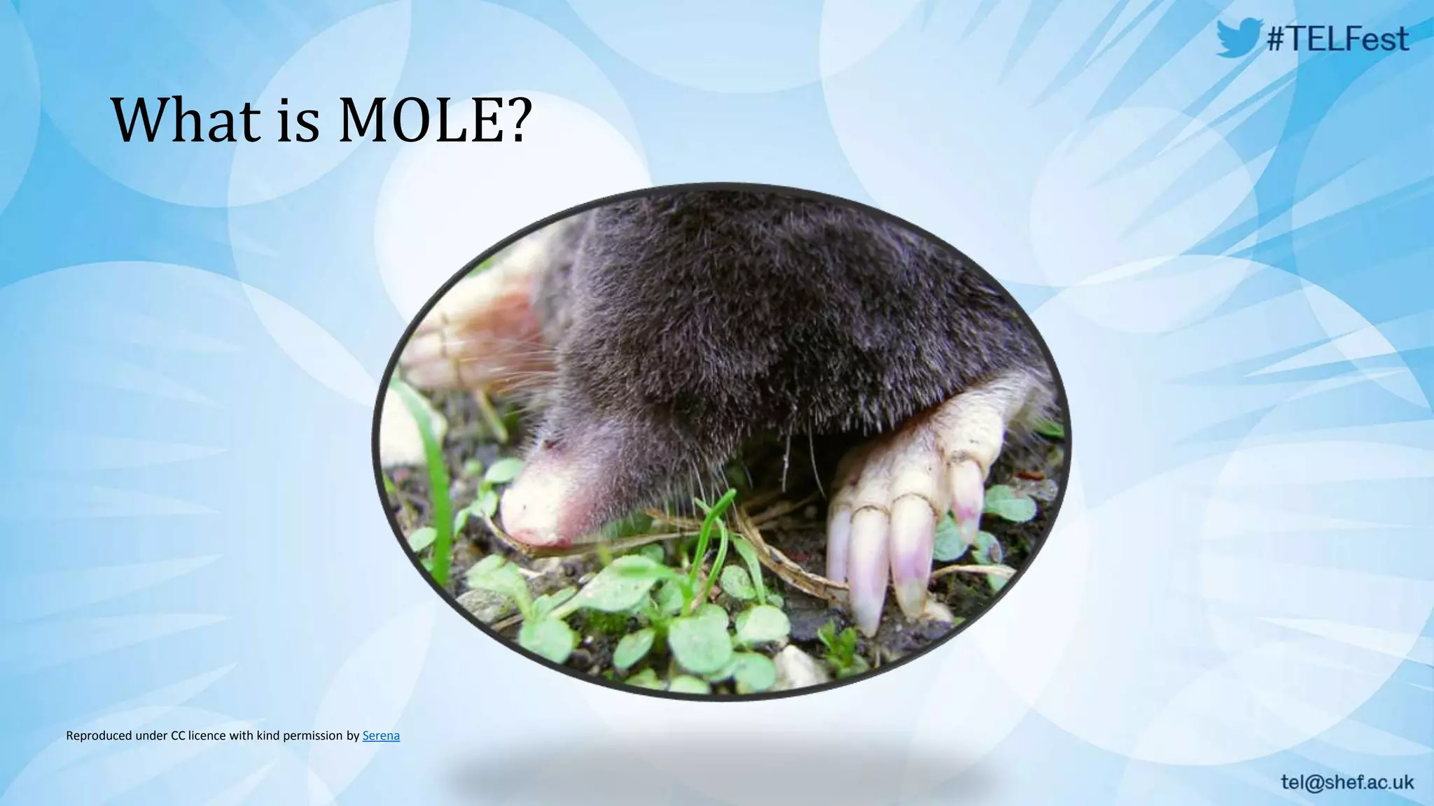 Introduction to MOLE - TELFest | PPT