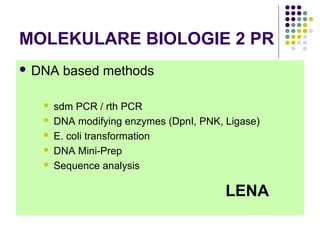Molekulare biologie 2 | PPT
