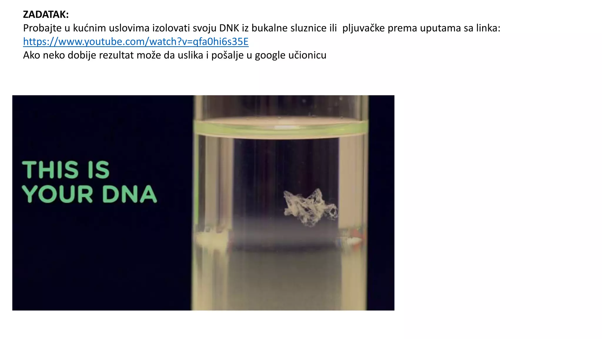 Molekularna_biologija6789.pptx