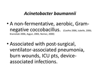 Molecular epidemiology of carbapenem resistant Acinetobacter baumannii ...