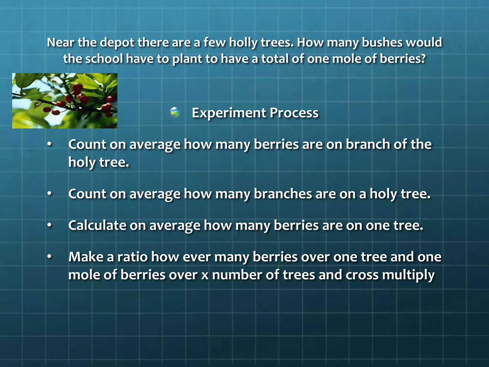 Mole scavenger hunt | PPT