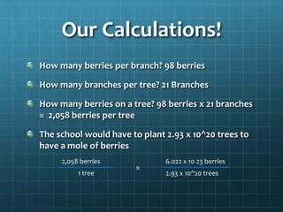 Mole scavenger hunt | PPT