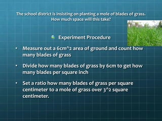 Mole scavenger hunt | PPT