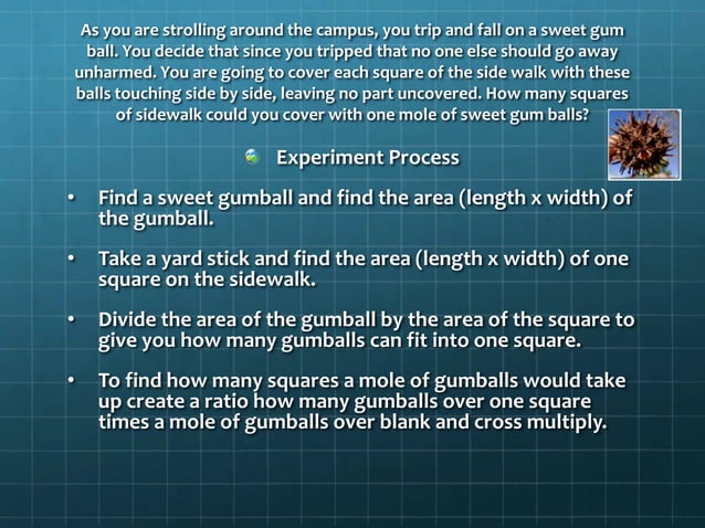 Mole scavenger hunt | PPT