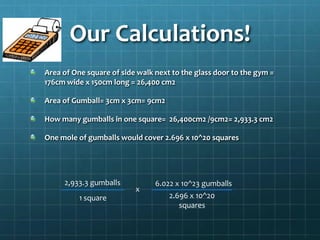 Mole scavenger hunt | PPT