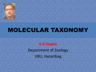 Mole taxonmy 22 | PPT