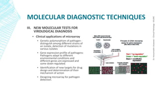 Molecular diagnostic techniques | PPTX