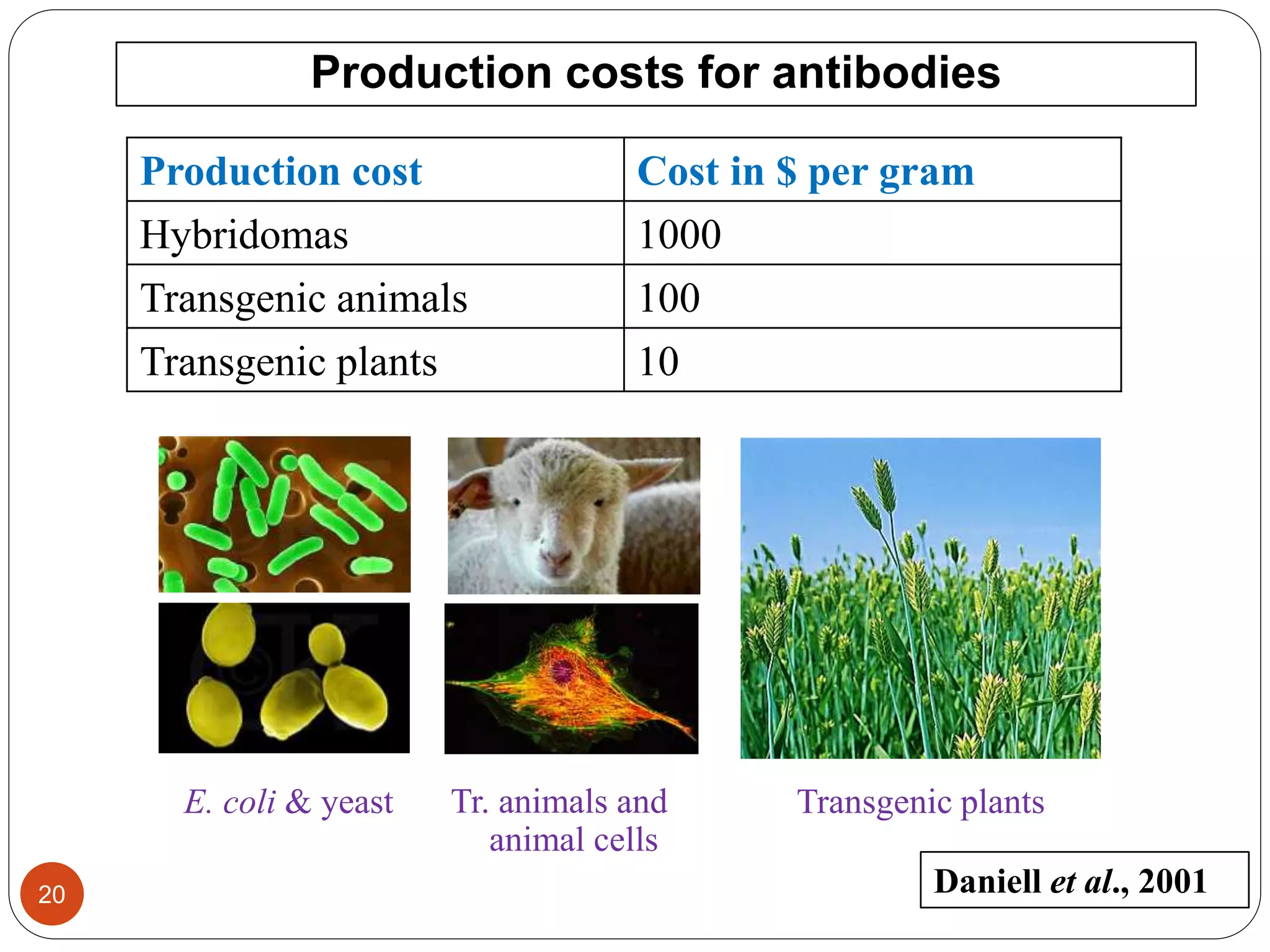 Plant molecular farming for recombinant therapeutic proteins | PPTX