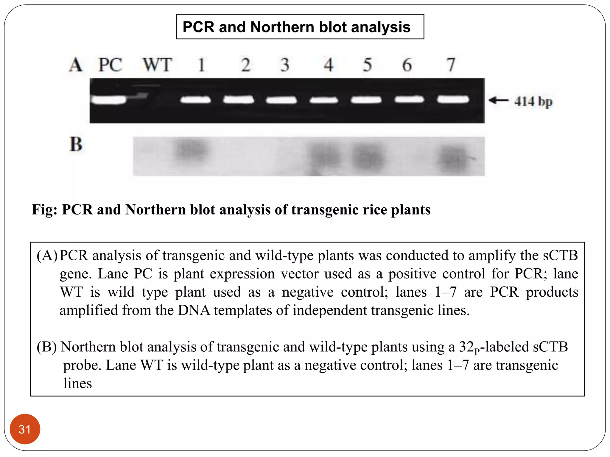 Plant molecular farming for recombinant therapeutic proteins | PPTX