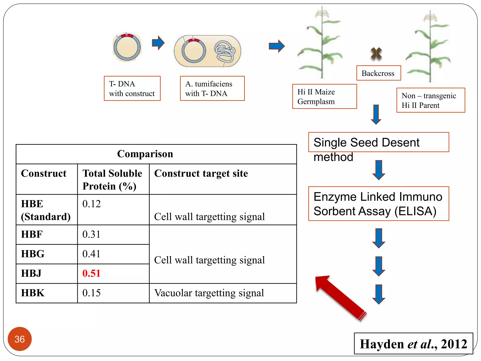 Plant molecular farming for recombinant therapeutic proteins | PPTX
