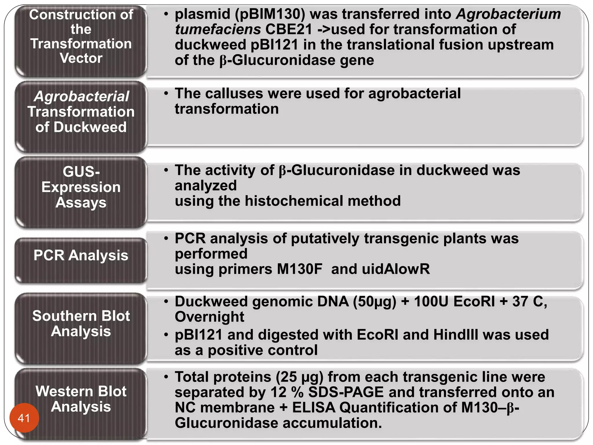 Plant molecular farming for recombinant therapeutic proteins | PPTX