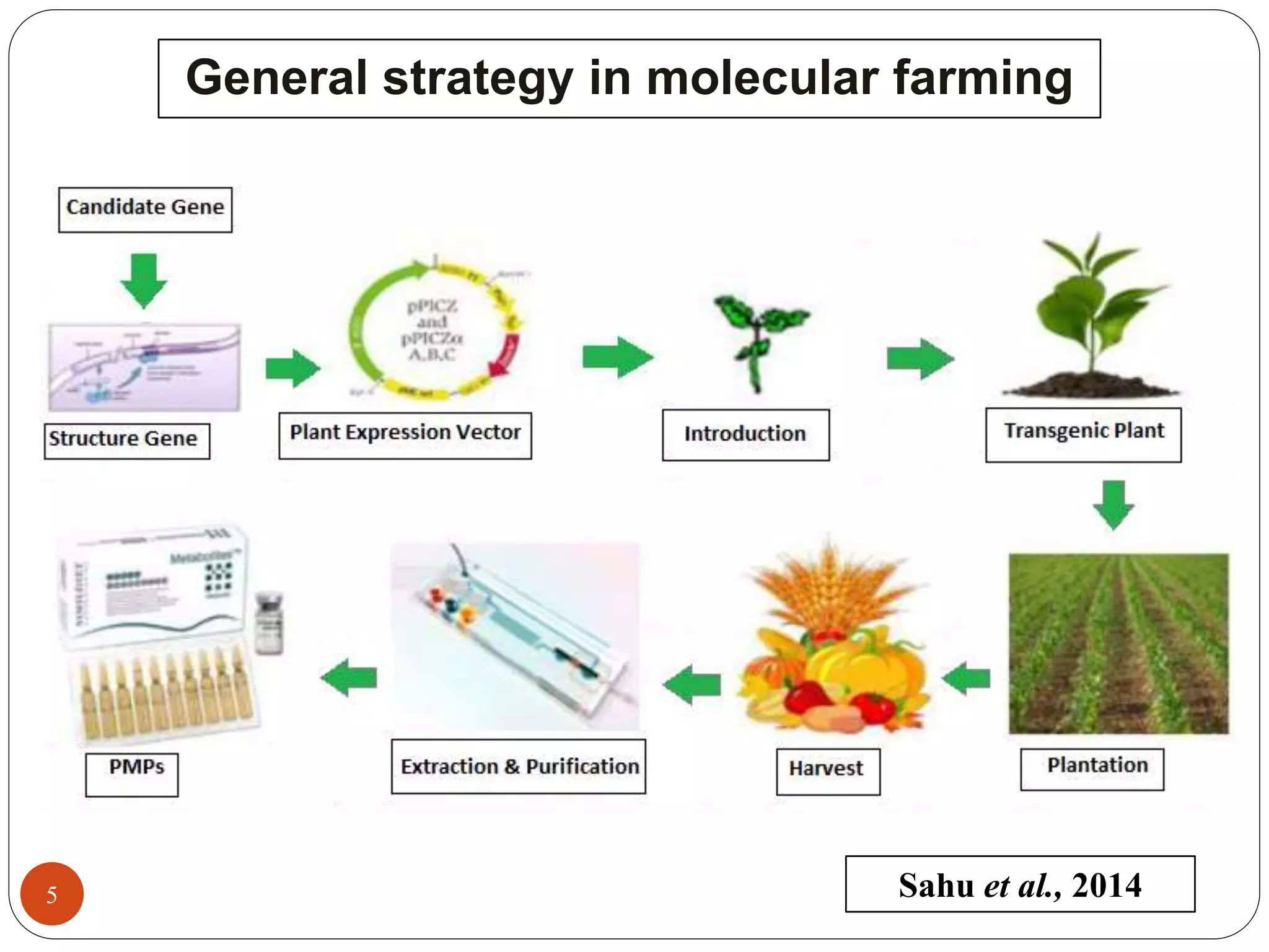 Plant molecular farming for recombinant therapeutic proteins | PPTX