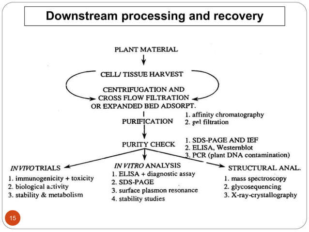 Plant molecular farming for recombinant therapeutic proteins | PPTX ...