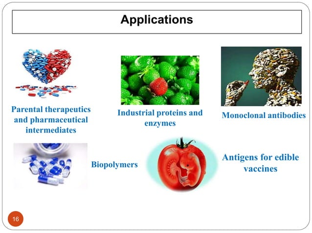 Plant molecular farming for recombinant therapeutic proteins | PPTX ...