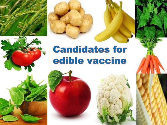Plant molecular farming for recombinant therapeutic proteins | PPTX ...