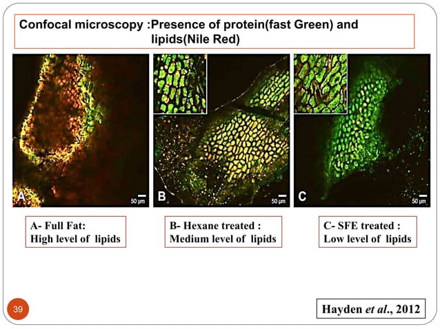 Plant molecular farming for recombinant therapeutic proteins | PPTX ...