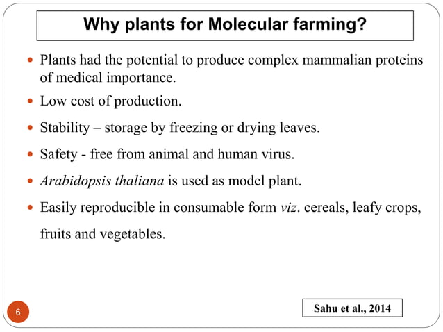 Plant molecular farming for recombinant therapeutic proteins | PPTX ...