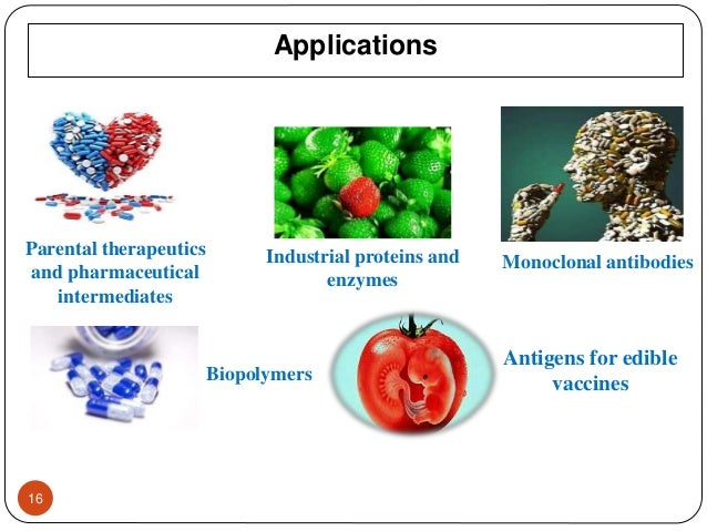 Plant molecular farming for recombinant therapeutic proteins