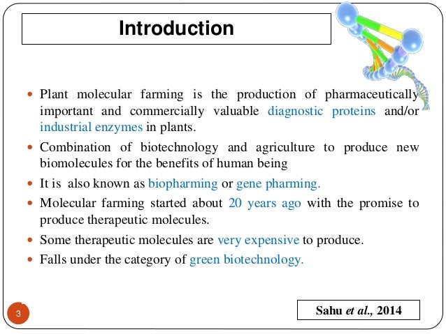 Plant molecular farming for recombinant therapeutic proteins