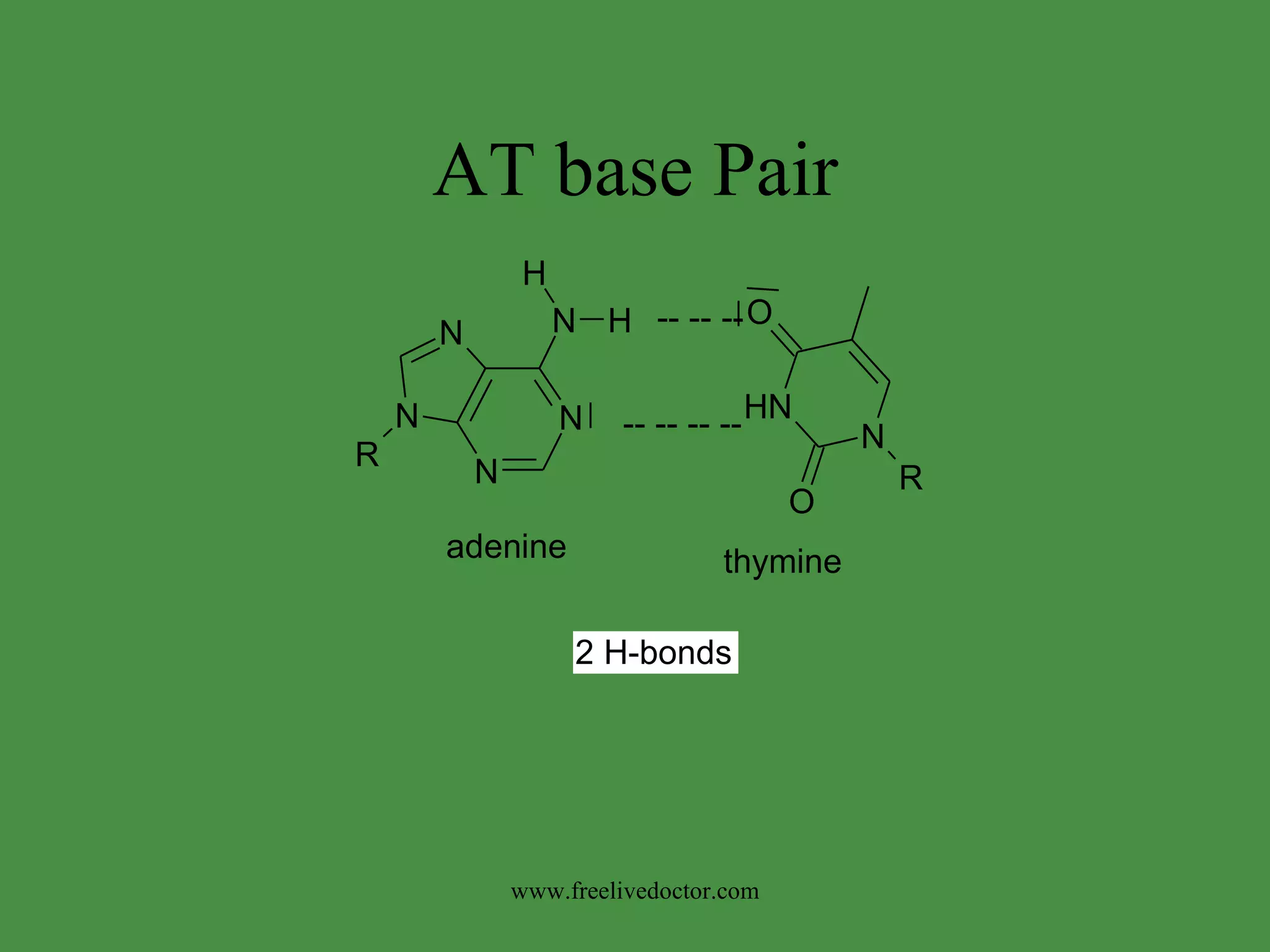 Molicular Biology | PPT