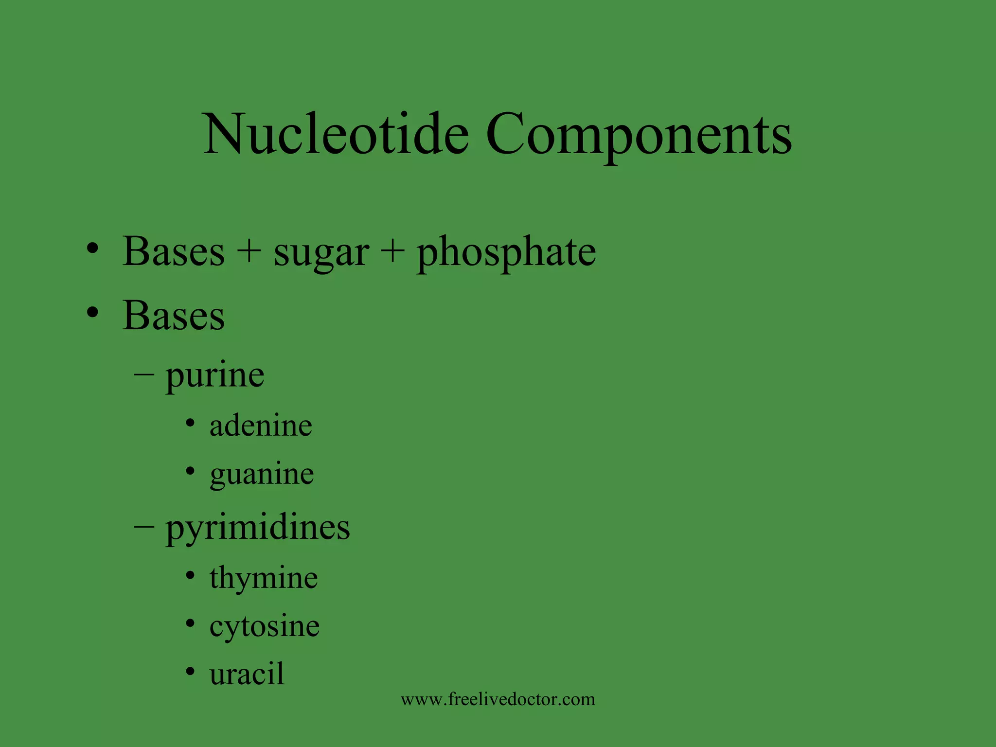 Molicular Biology | PPT