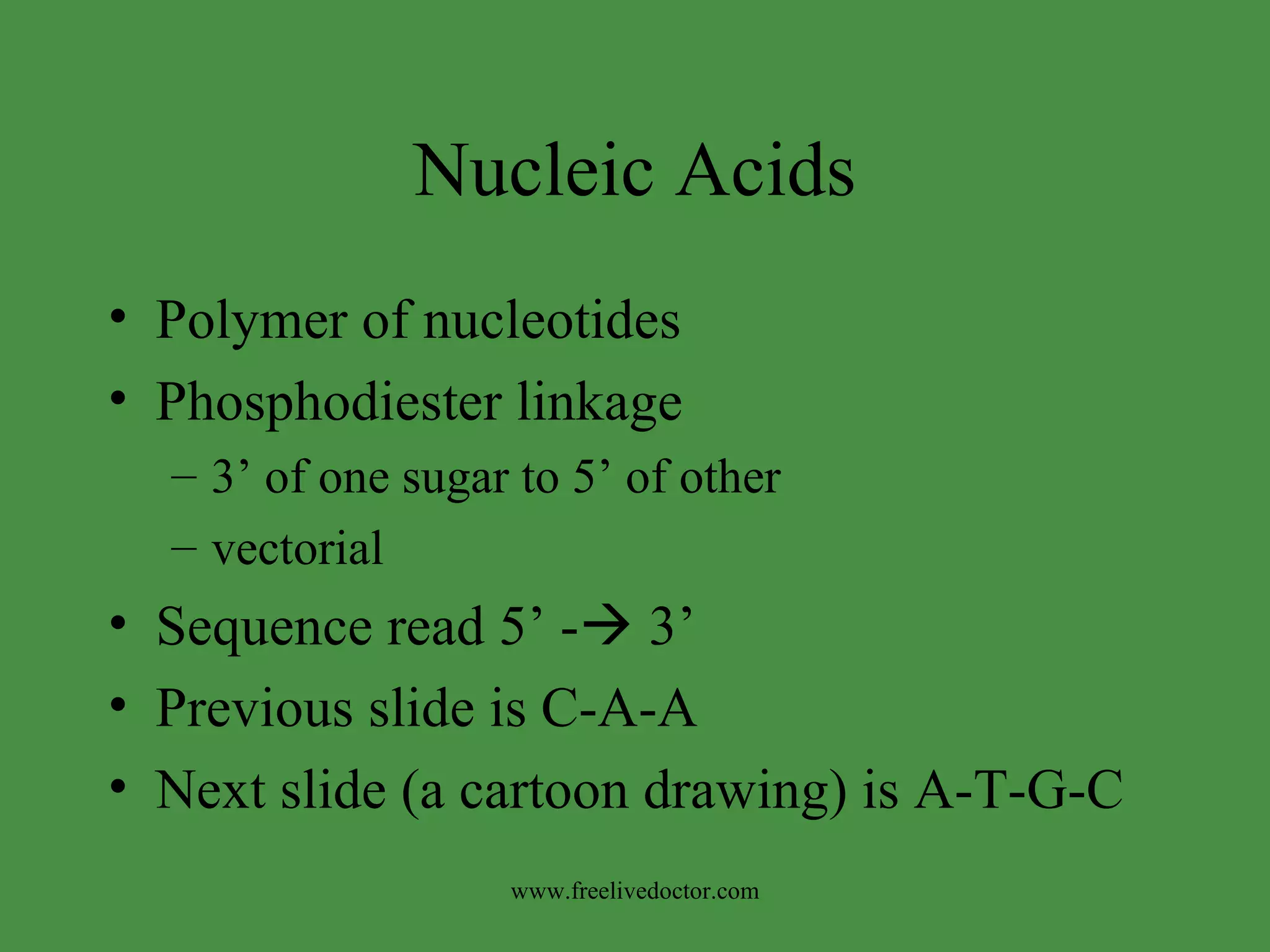 Molicular Biology | PPT