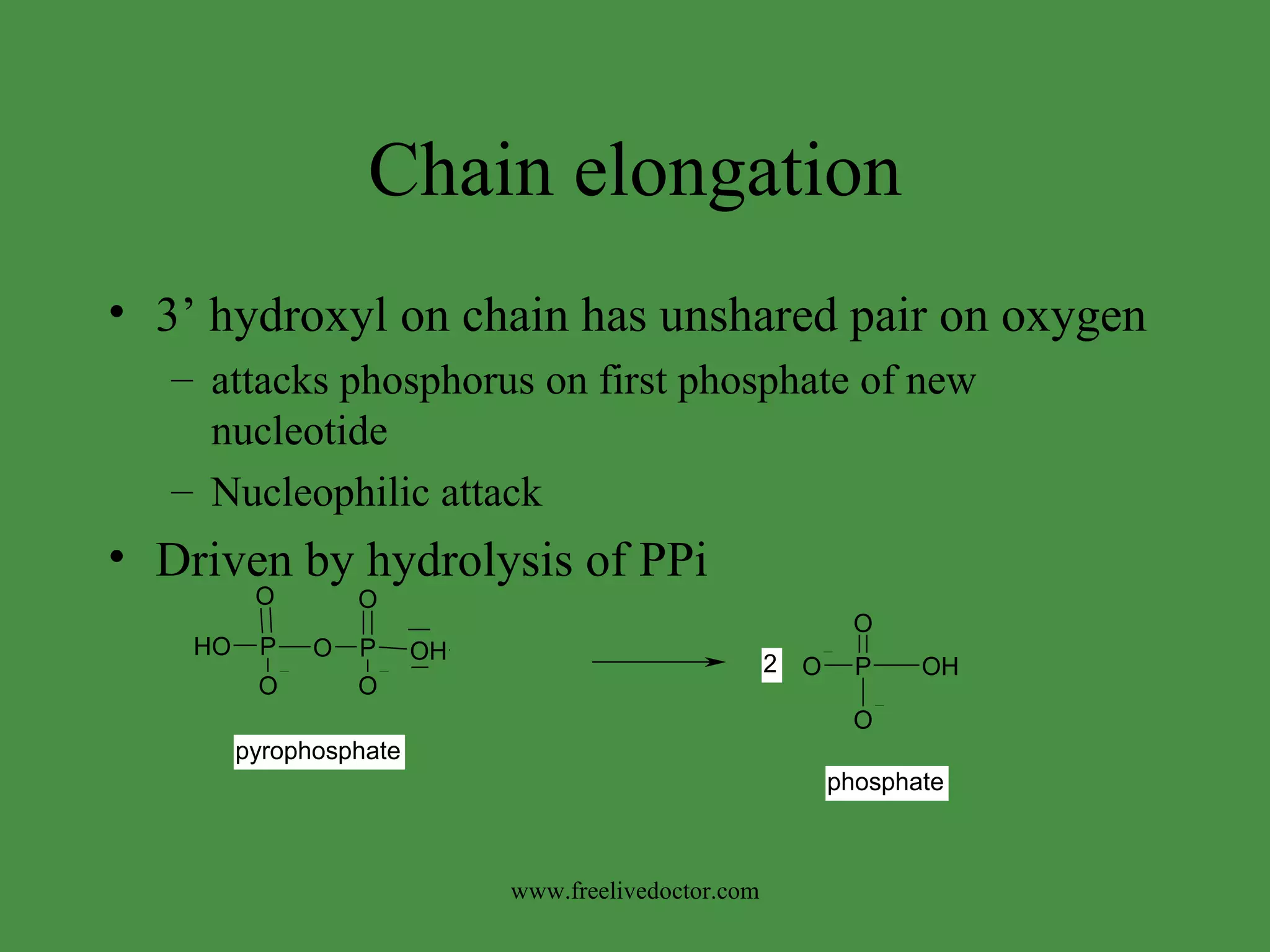 Molicular Biology | PPT