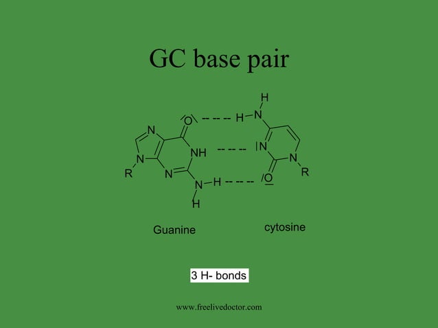 Molicular Biology | PPT