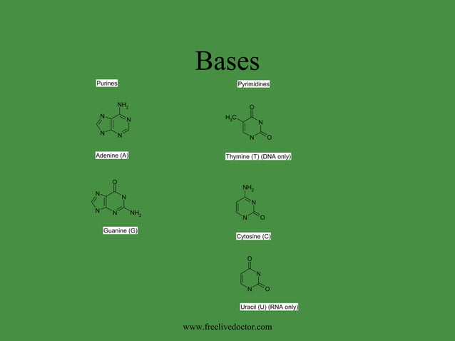 Molicular Biology | PPT