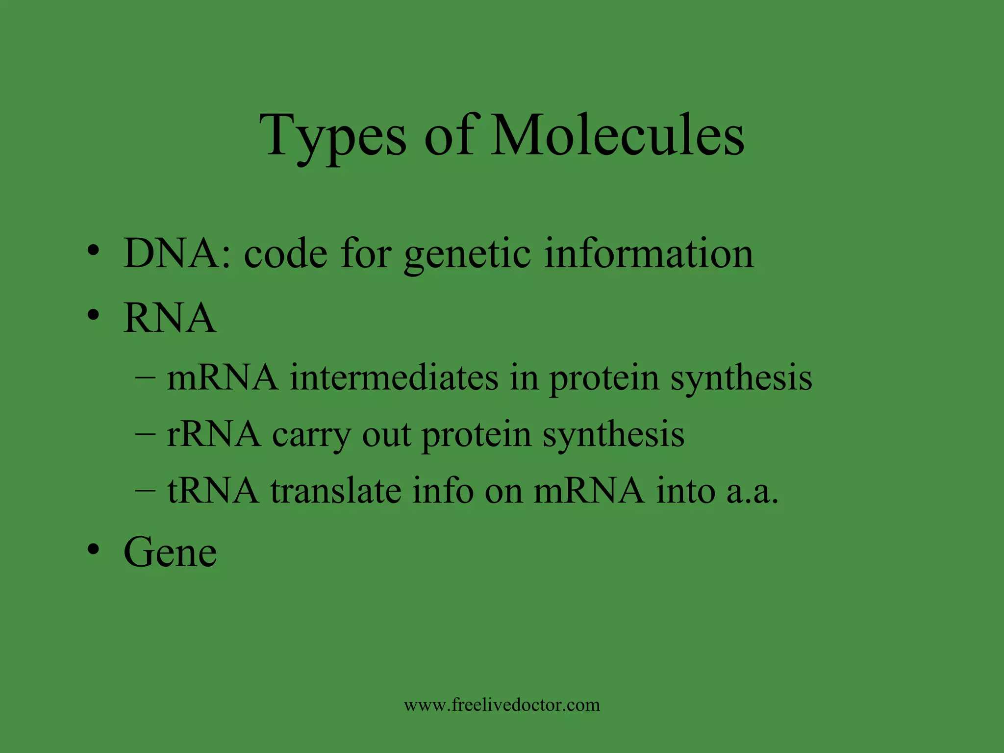 Molicular Biology | PPT
