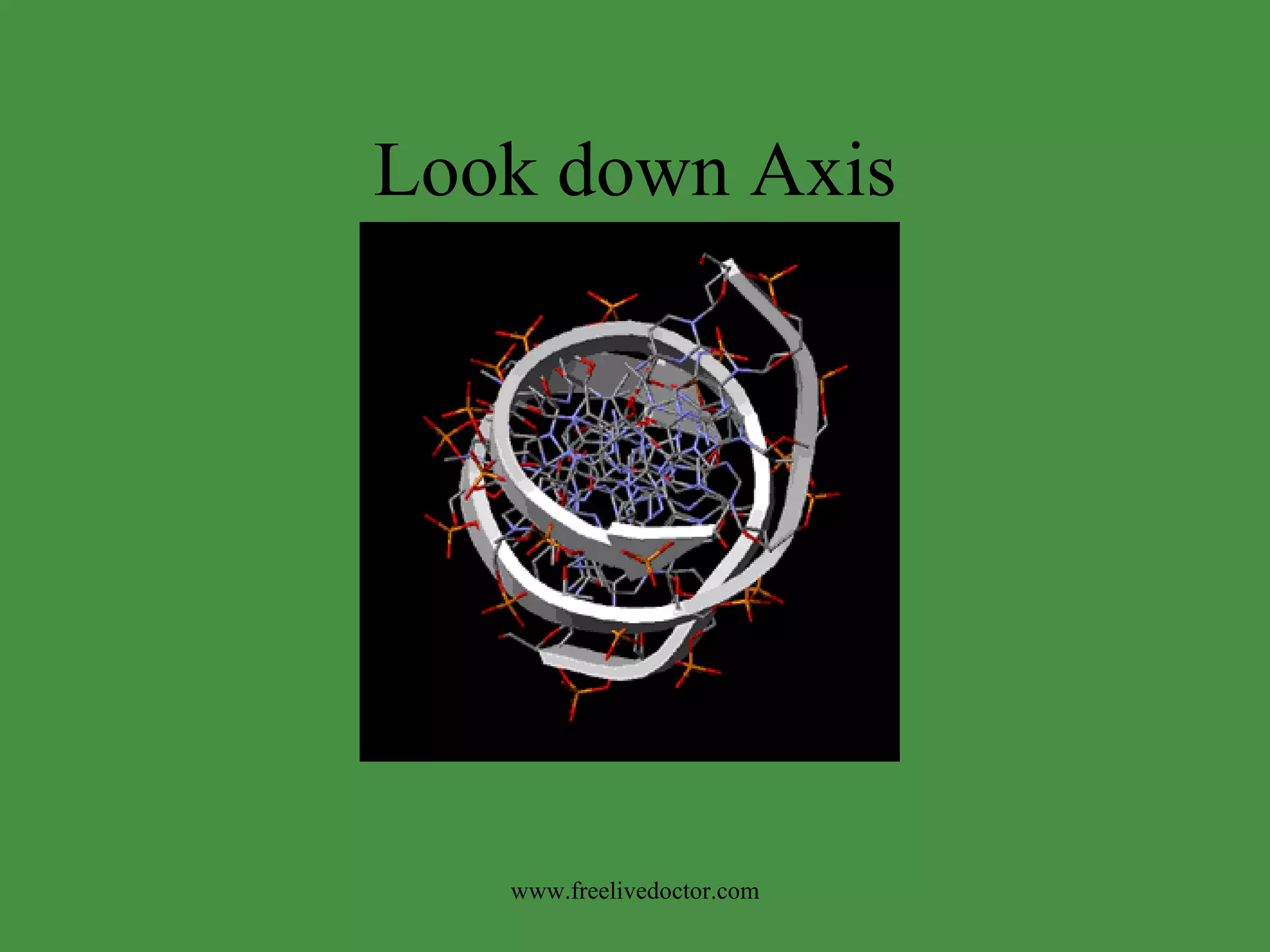 Molicular Biology | PPT