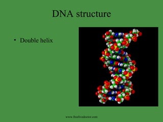 Molicular Biology | PPT