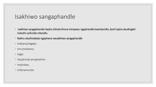 Izinkondlo (Isakhiwo) | PPTX