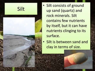 Soil microbiology and cycles of the elements | PPTX