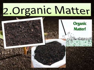 Soil microbiology and cycles of the elements | PPTX