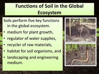 Soil microbiology and cycles of the elements | PPTX