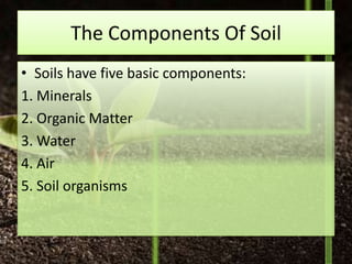 Soil microbiology and cycles of the elements | PPTX