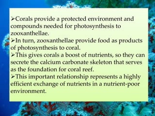 zooxanthellae | PPTX