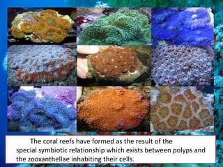 zooxanthellae | PPTX