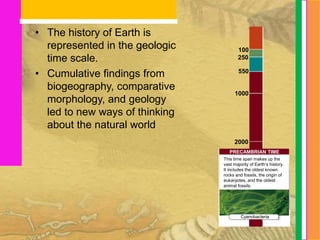terrestrial fossil records and paleogeography | PPTX