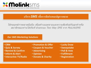 Molinksms company profile | PPT
