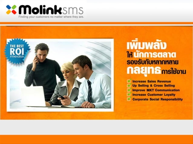 Molinksms company profile | PPT