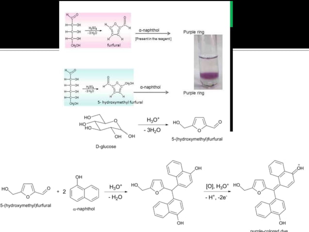 Molisch-and-Iodine-Test.pptx
