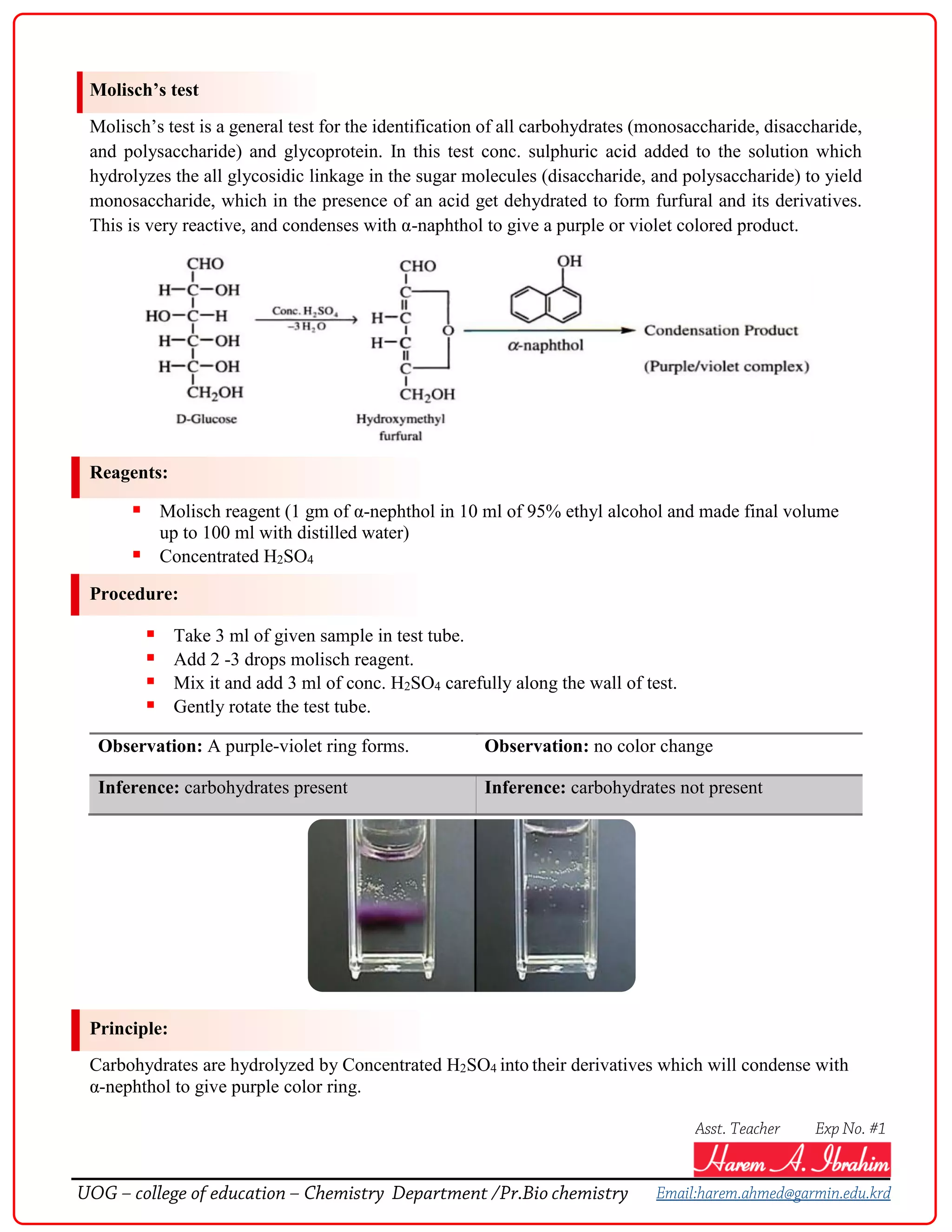 Molischs test | PDF