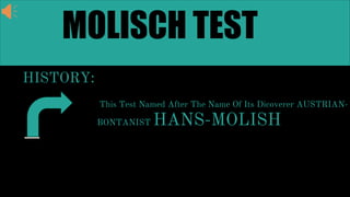 Molisch test | PDF