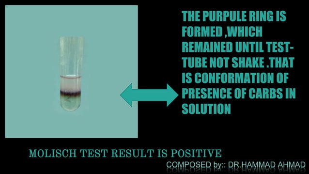 Molisch test | PDF | Chemistry | Science