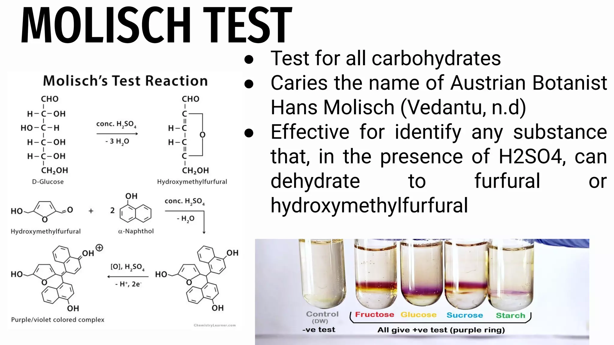 MOLISCH TEST.pdf