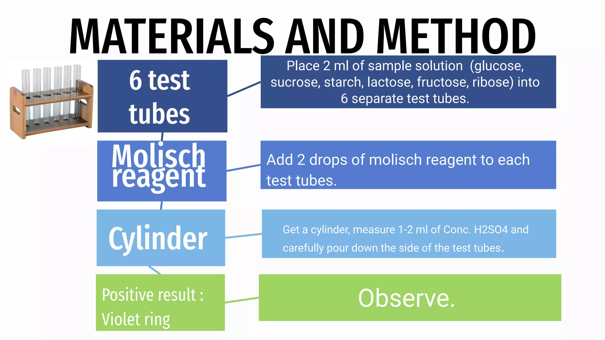 MOLISCH TEST.pdf